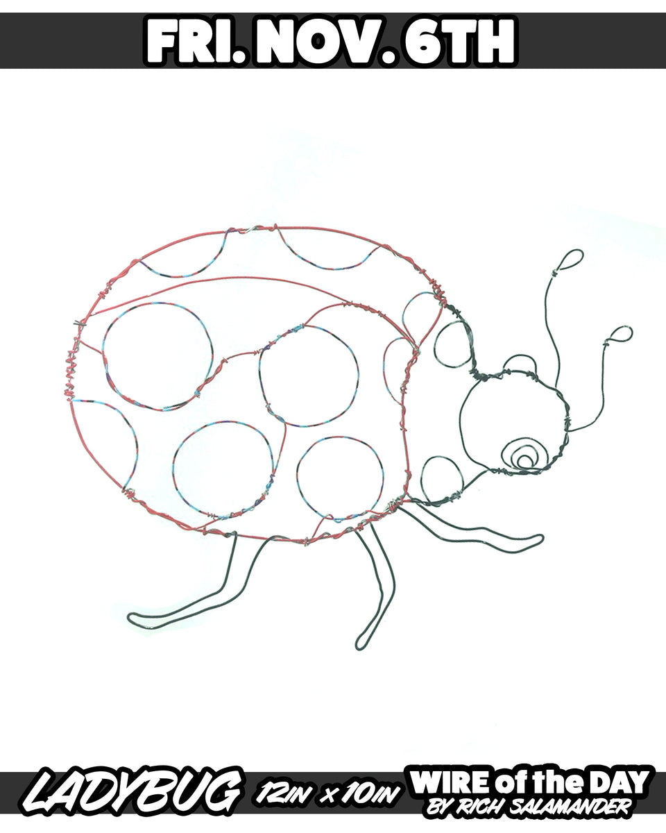 WIRE of the DAY LADY BUG – RICH SALAMANDER