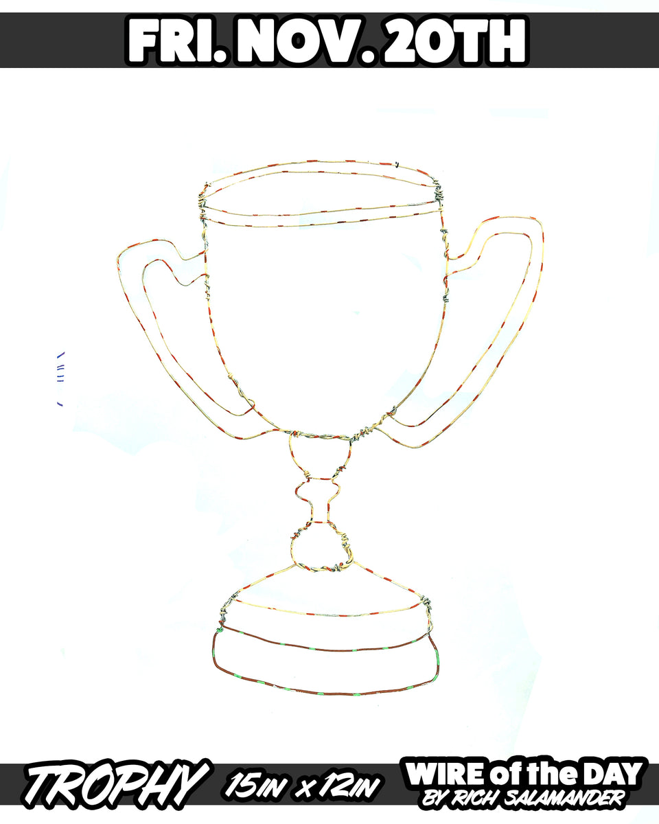 WIRE of the DAY TROPHY – RICH SALAMANDER